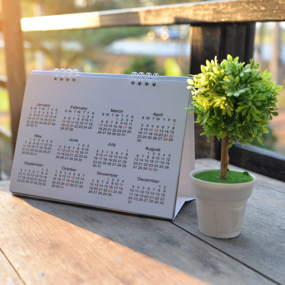 Mark Your Calendars for These Sustainability Dates - Double A Paper ...